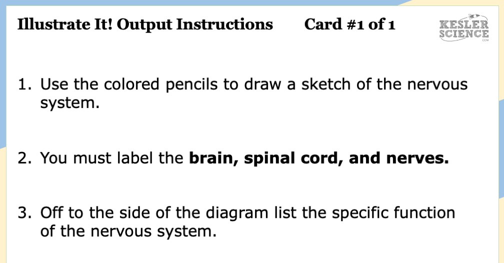 Nervous System Lesson Plan – A Complete 5E Method Science Unit